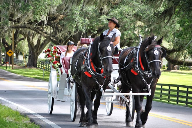 horse country carriage company