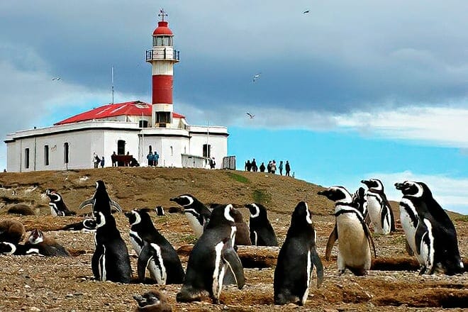 los pingüinos natural monument — punta arena