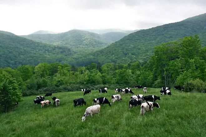 mountain valley farm and store