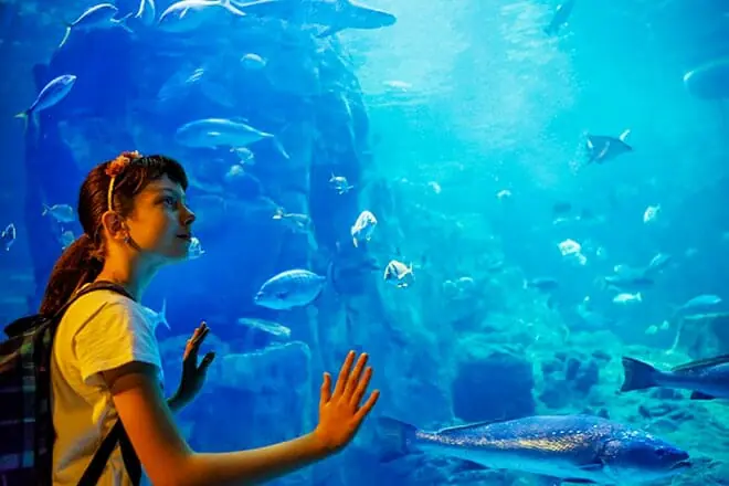 mystic aquarium