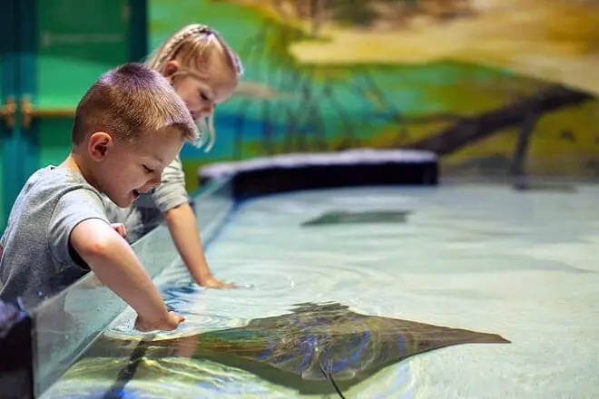 national mississippi river museum and aquarium
