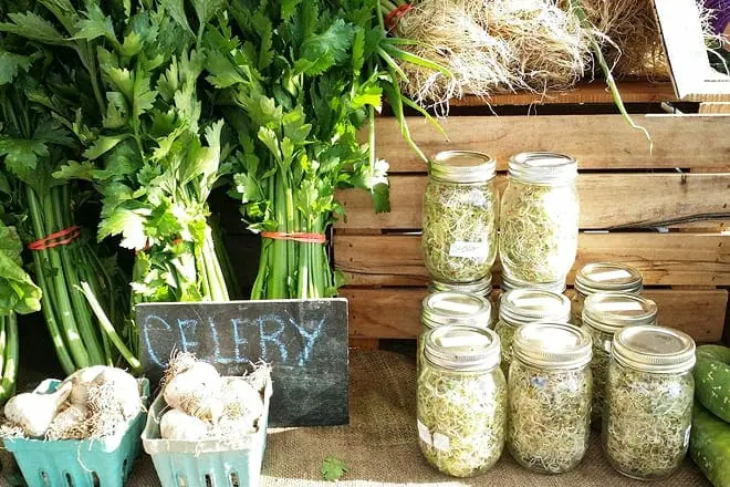 north square farmers market