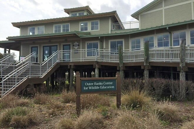 outer banks center for wildlife education