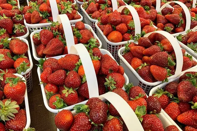r & a orchards