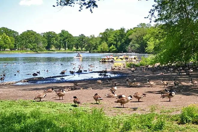 silver lake