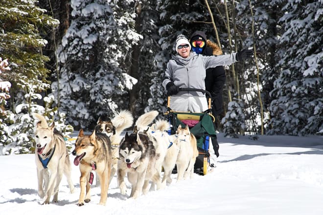 snow buddy dog sled tours