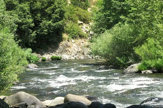 tauhindauli park