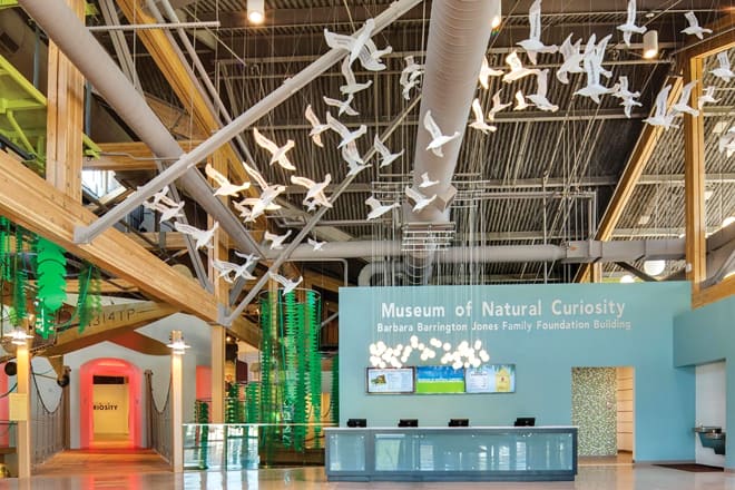 the museum of natural curiosity