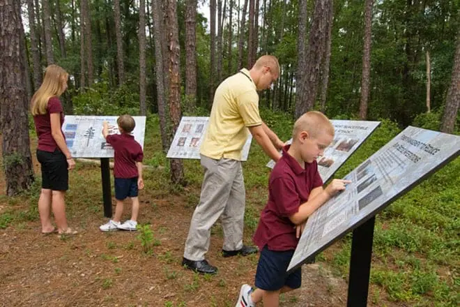 thompson mills forest and state arboretum