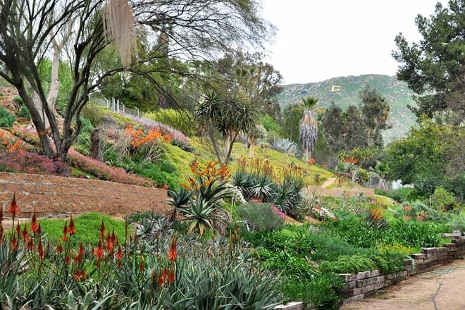 university of california riverside botanic gardens