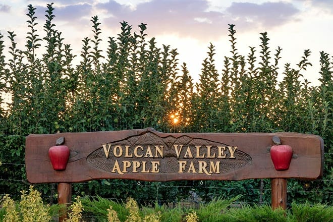 volcan valley apple farm