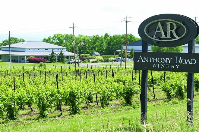 anthony road wine company