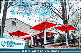 best things to do in callicoon