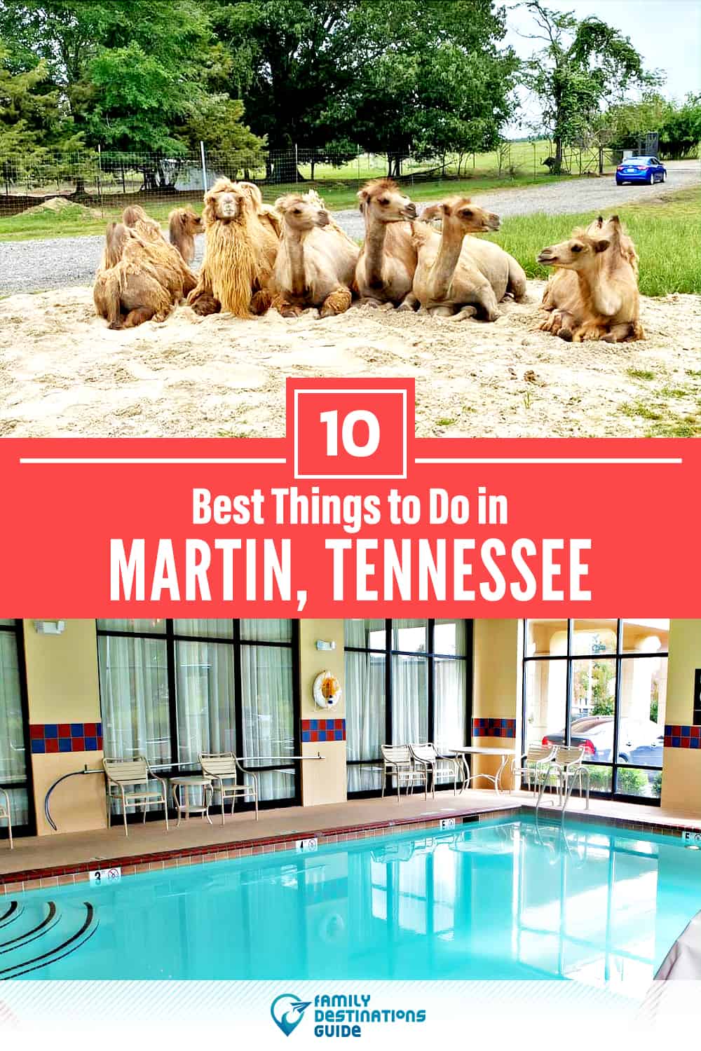 10 Best Things to Do in Martin, TN — Top Activities & Places to Go!