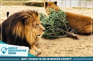 best things to do in mercer county