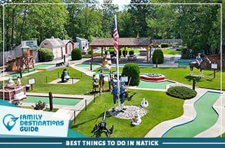 best things to do in natick