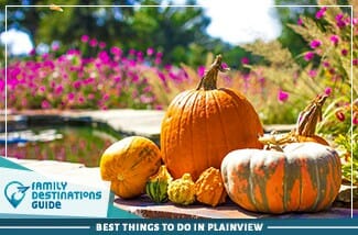 best things to do in plainview