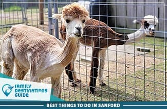 best things to do in sanford