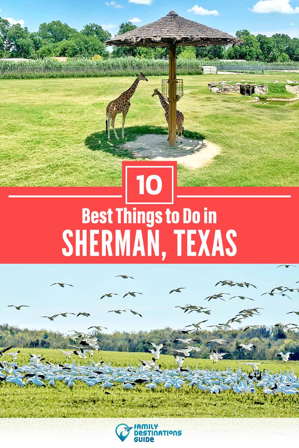 10 mejores cosas para hacer en Sherman, TX - ¡Actividades y lugares imprescindibles!