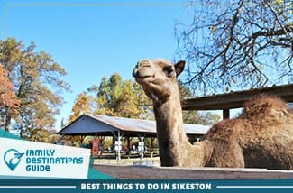 best things to do in sikeston