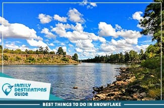 best things to do in snowflake