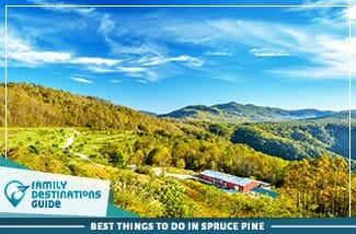 best things to do in spruce pine