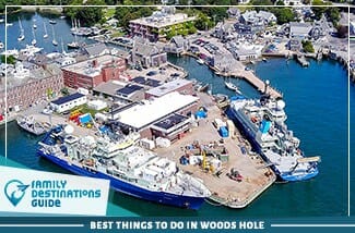 best things to do in woods hole