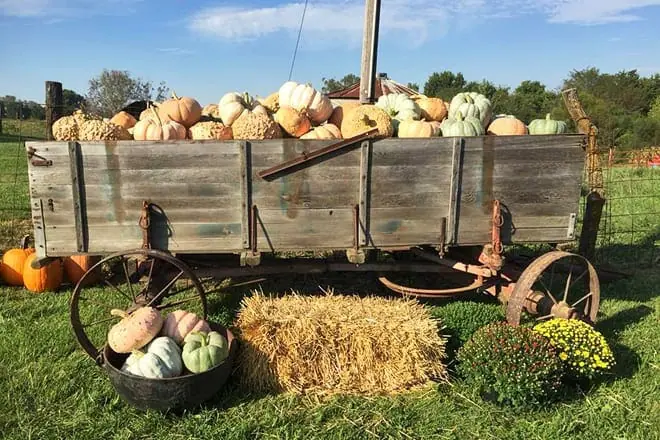 buckeye acres