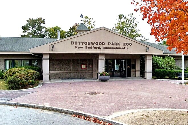 buttonwood park zoo