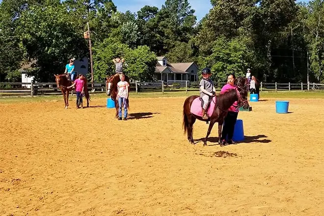 circle m farms