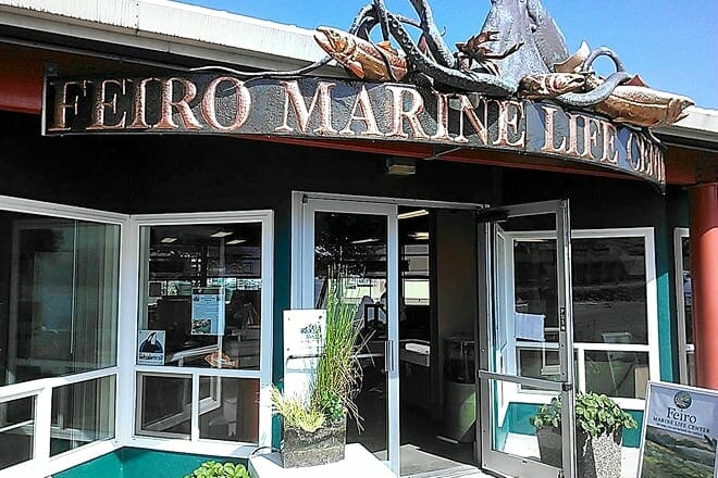 feiro marine life center