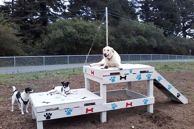 fortuna dog park