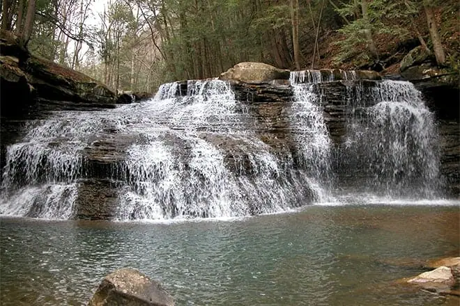 freedom falls