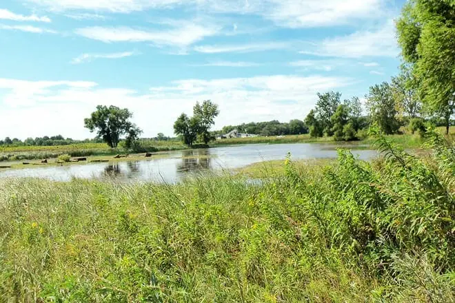 goose lake prairie state natural area