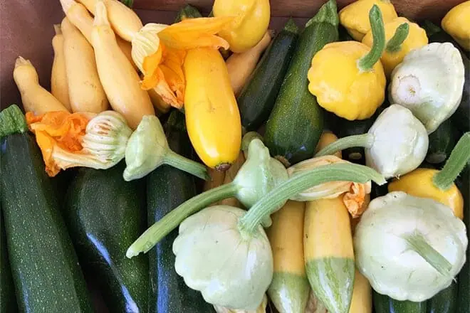mendocino county farmers market