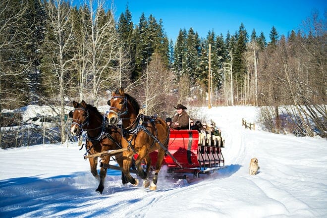 mountain springs lodge sleigh rides