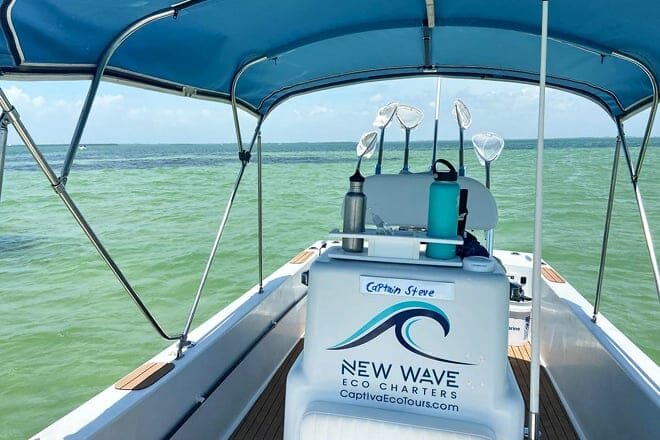 new wave eco charters