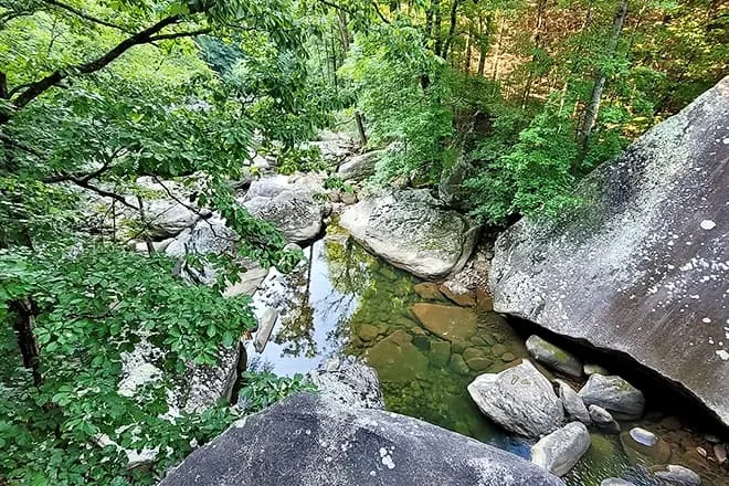pocket wilderness