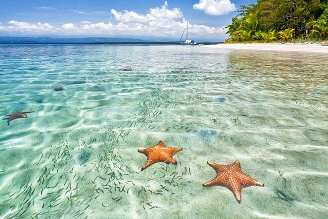 starfish beach — bocas del toro
