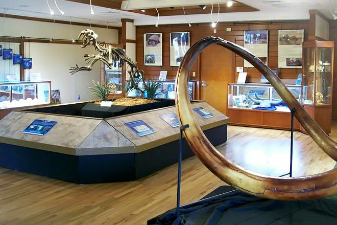 the palm beach museum of natural history