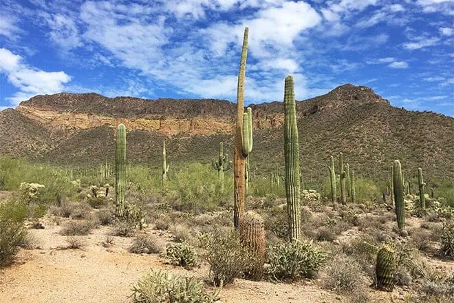 usery mountain regional park
