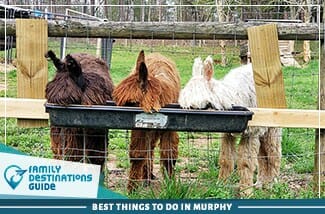 best things to do in murphy