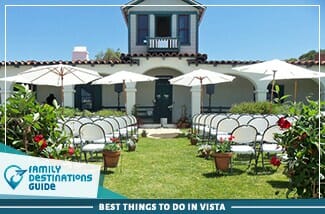 best things to do in vista