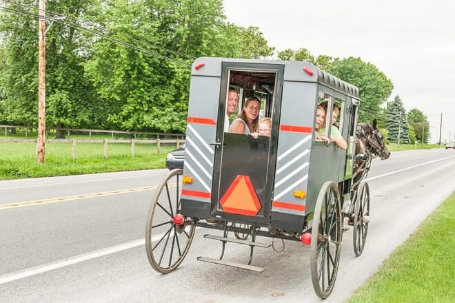 Aaron & Jessica's Amish Buggy Rides — Bird N Hand