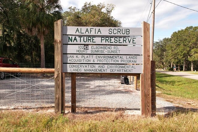 alafia scrub nature preserve