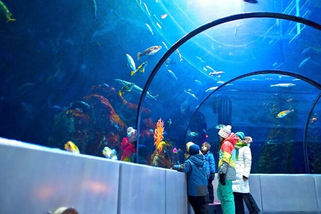 aquarium du québec