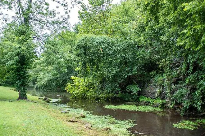 battle of carthage state park