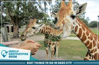 best things to do in dade city