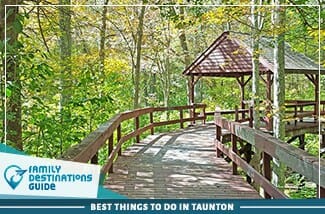 best things to do in taunton