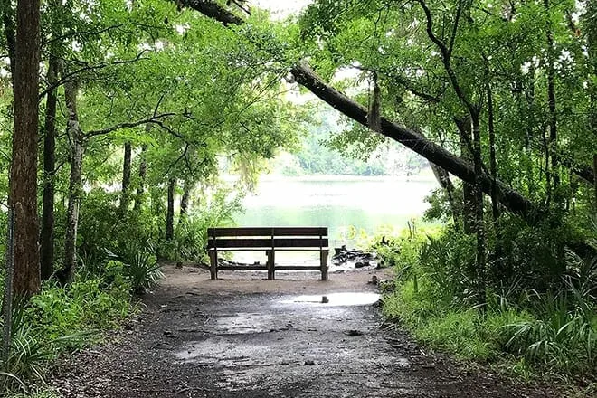 black creek trail